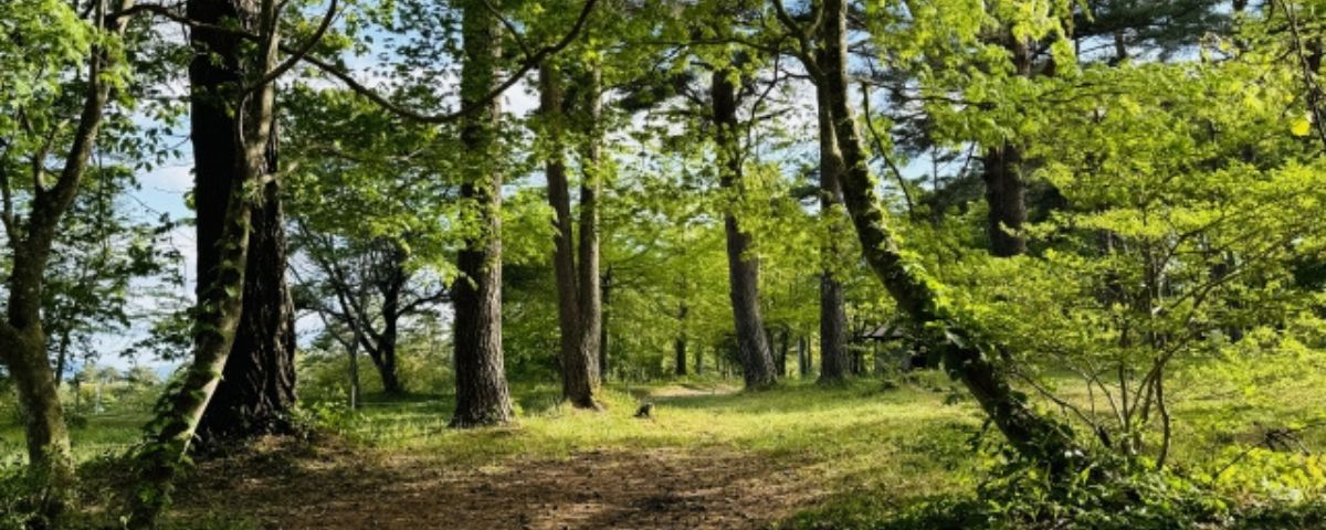 ビーノバナー用 | YGKO Co.,Ltd